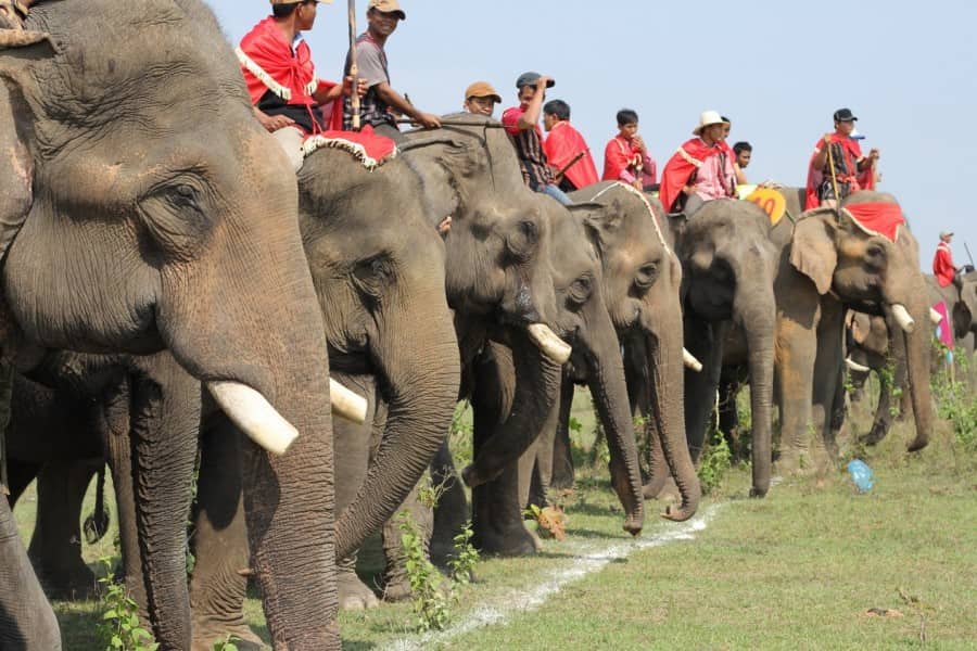 THE ELEPHANT RACING FESTIVAL IN DAKLAK